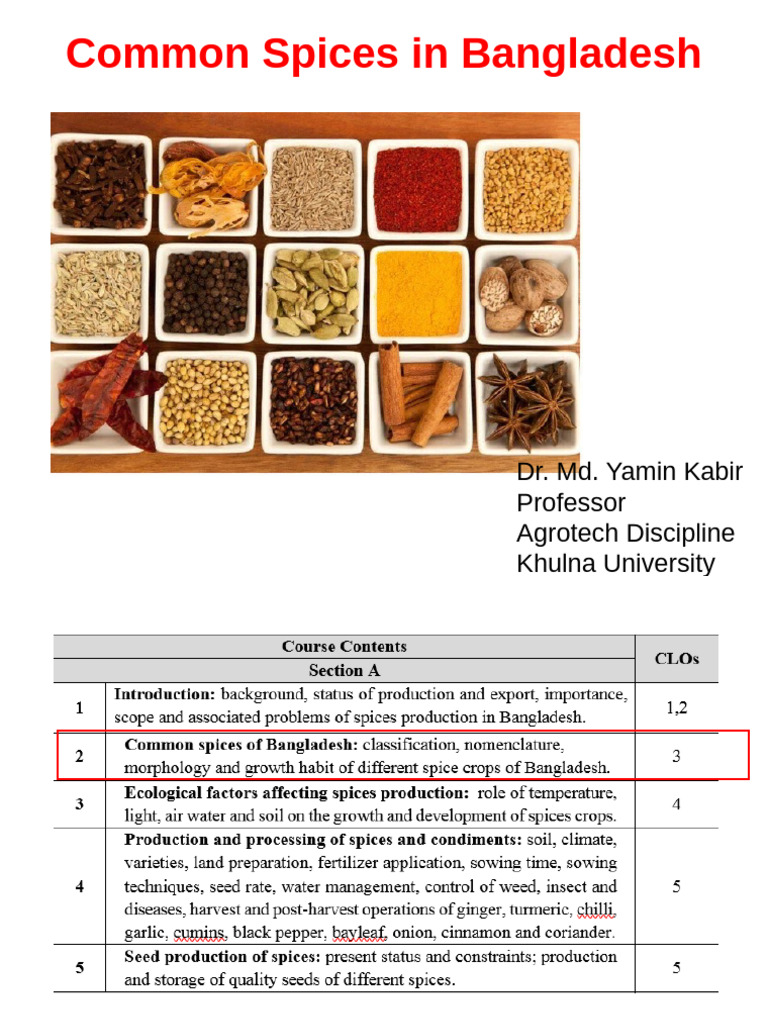 Common Spices Bangladesh 2nd Chap | PDF | Capsicum | Spice