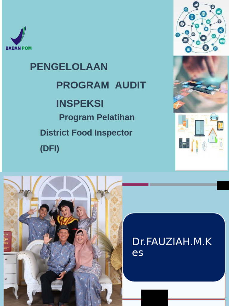 Pengelolaaan Program Audit Inspeksi | PDF