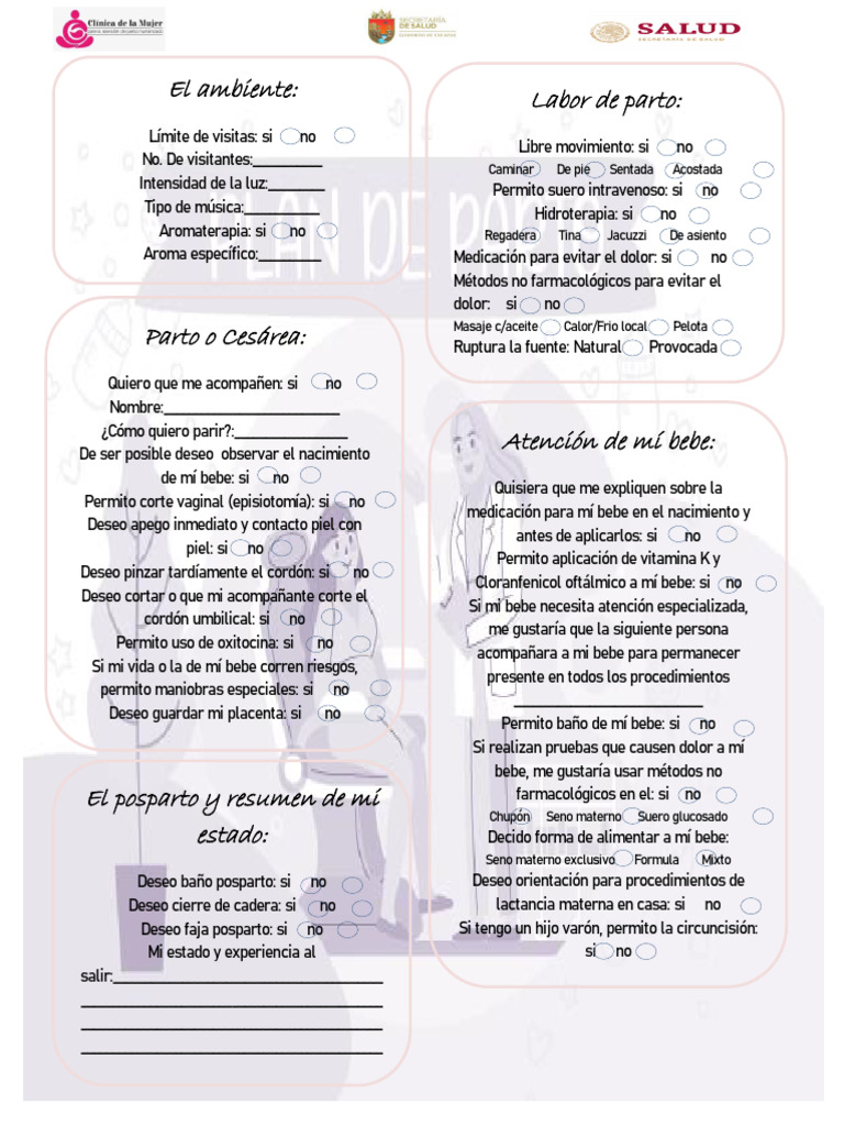 Plan de Parto | PDF | Parto | Desarrollo humano