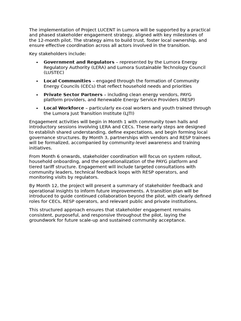 Exec Summary Stakeholder Implementation Plan | PDF