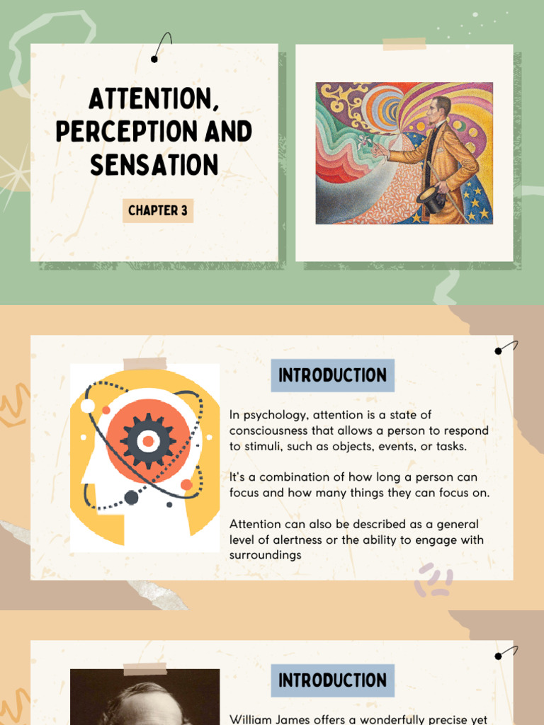 Attention and Perception in Psychology | PDF | Senses | Perception