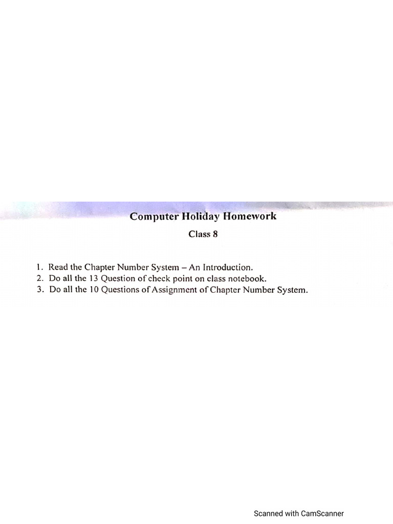 Computer Holiday Homework Class 8 | PDF