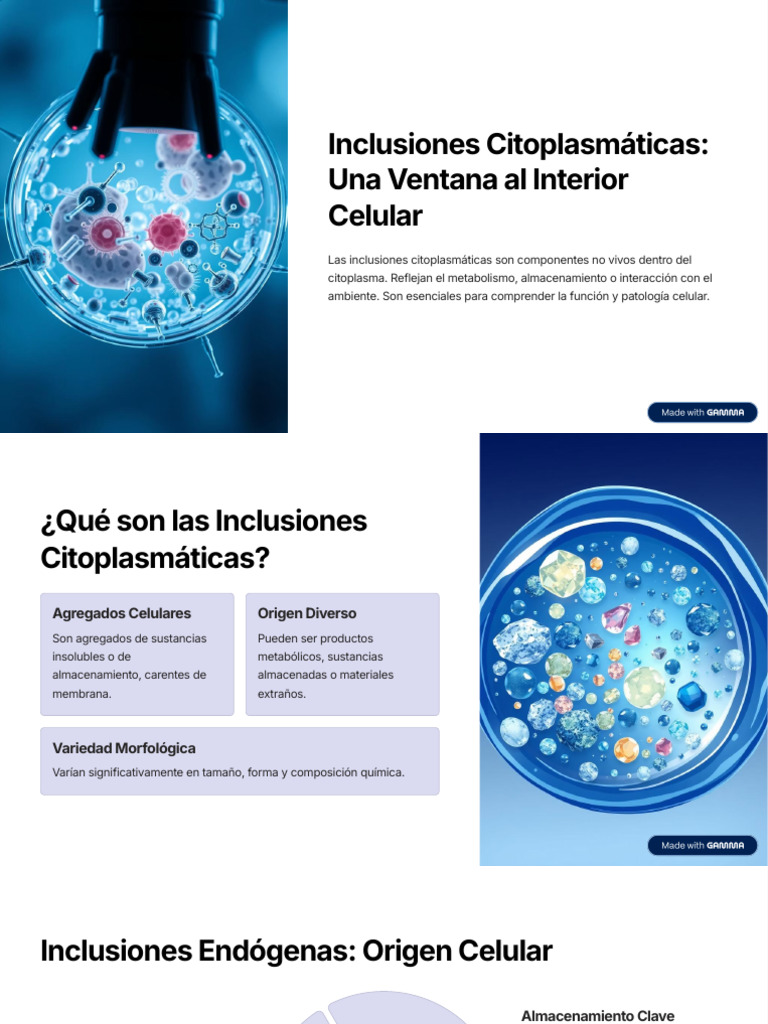 Inclusiones Citoplasmáticas: Función y Relevancia | PDF | Biología ...