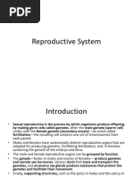 Reproductive System of Frog | PDF | Testicle | Sperm