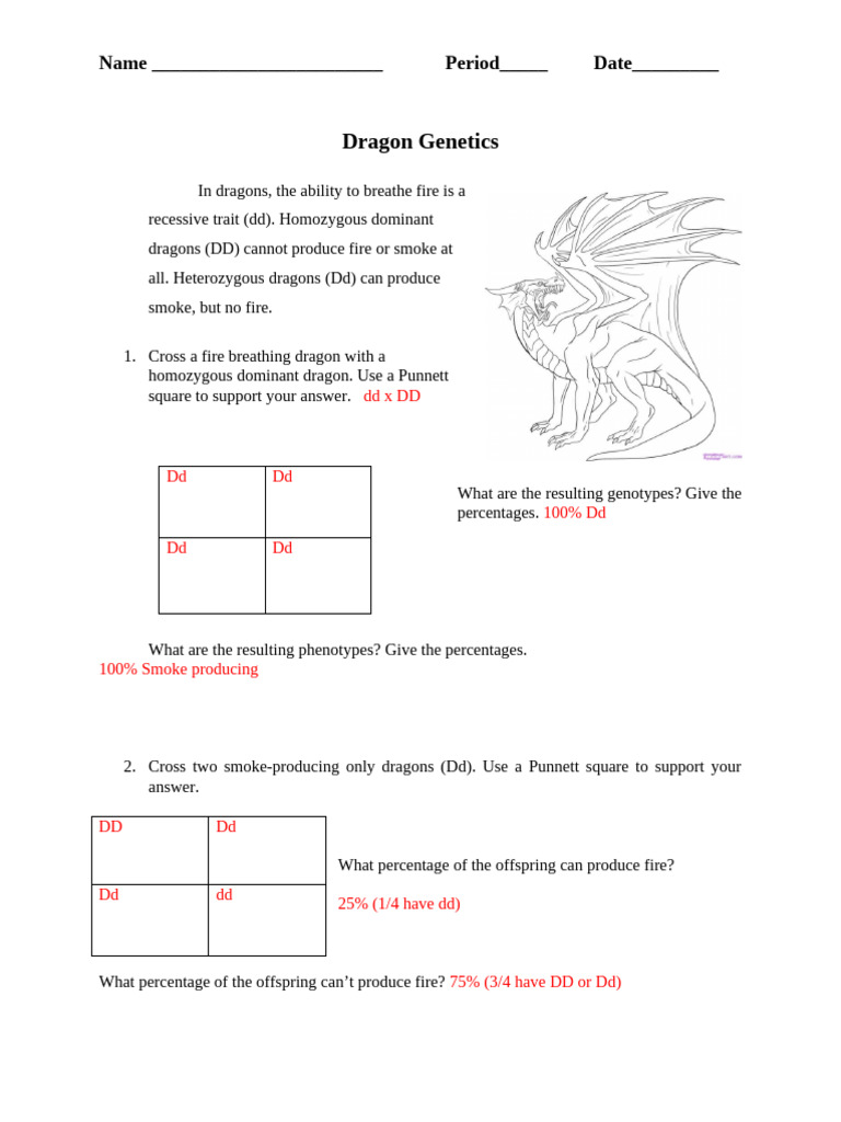 Dragon Genetics KEYbbbbbbbbbbbbbbbbbbbbbbbbb | PDF | Genotype ...
