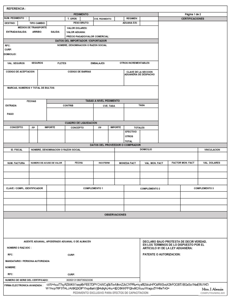 Formato de Pedimento Aduanal 2025 | PDF | aduana | Economias