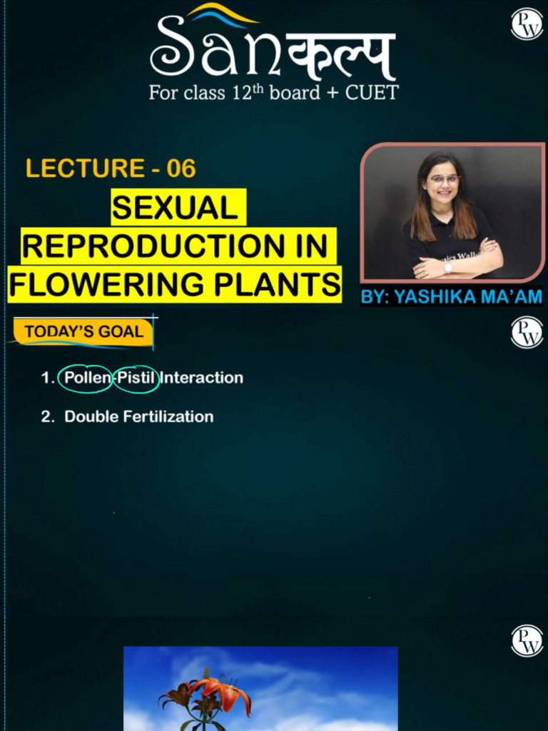 Sexual Reproduction in Flowering Plants 06 - Class Notes | PDF