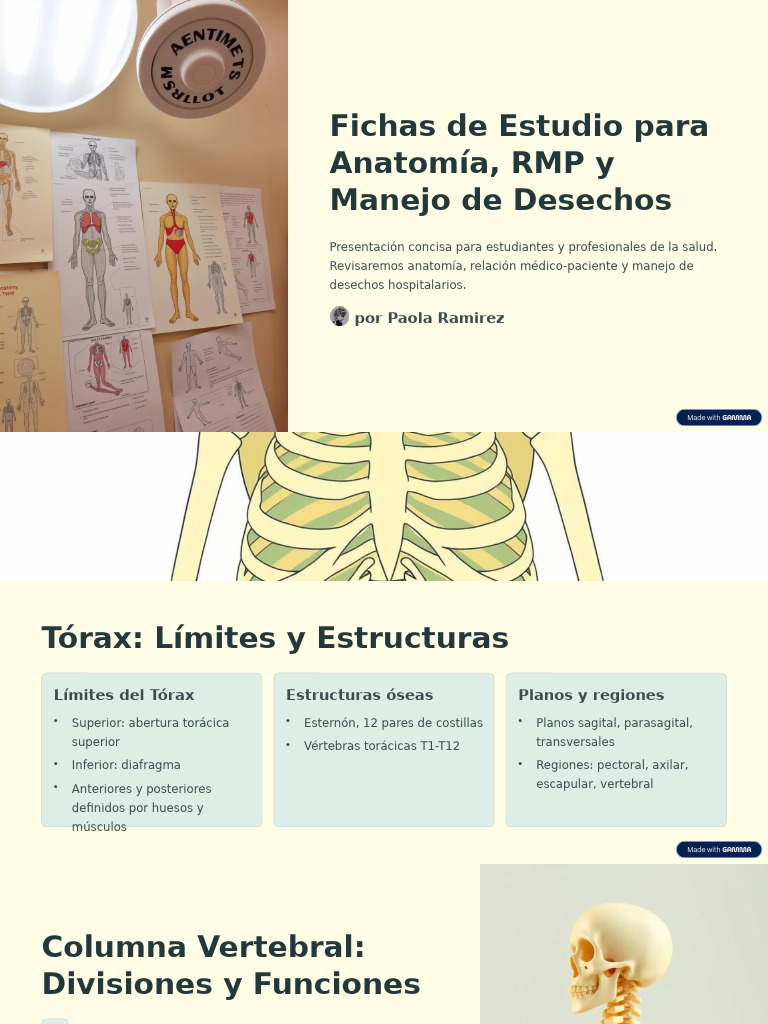 Fichas de Estudio para Anatomia RMP y Manejo de Desechos | PDF | Tórax ...