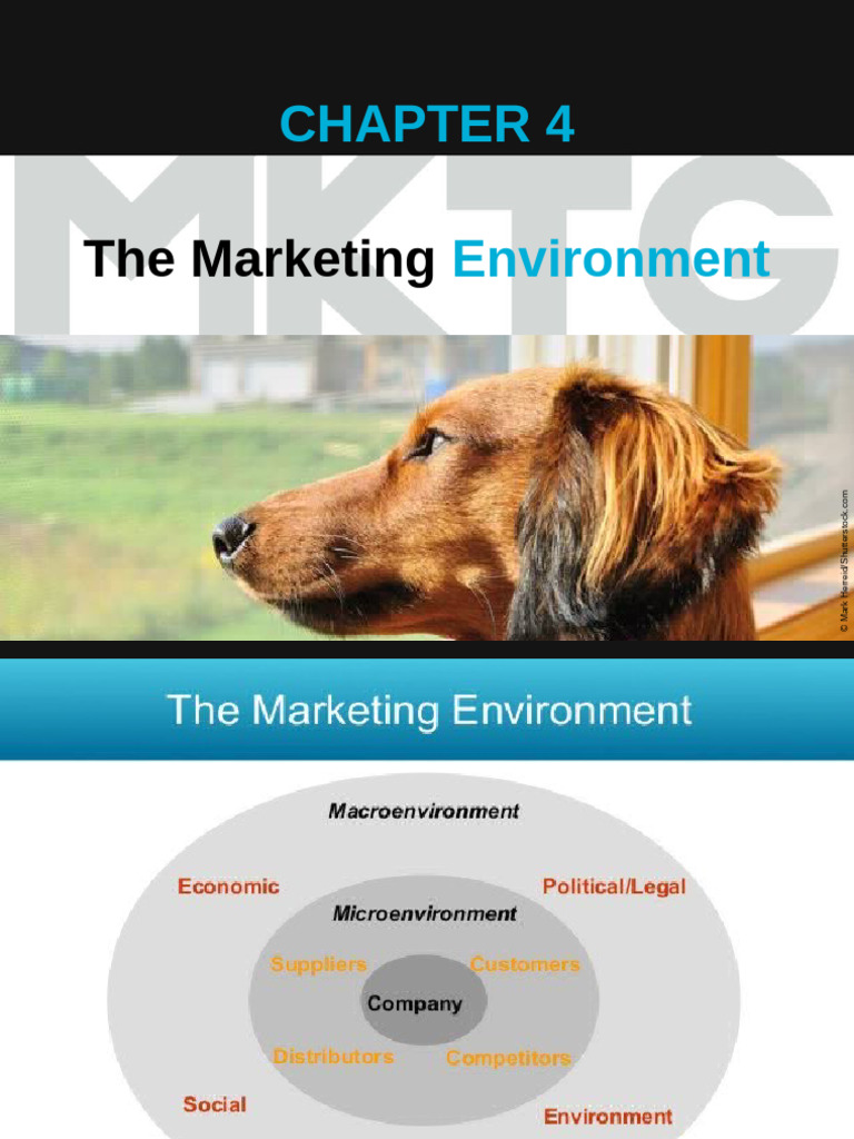 Analyzing Marketing Environment | PDF | Marketing | Consumption (Economics)