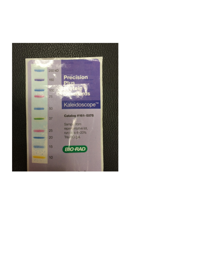 Precision Plus Protein Standards | PDF