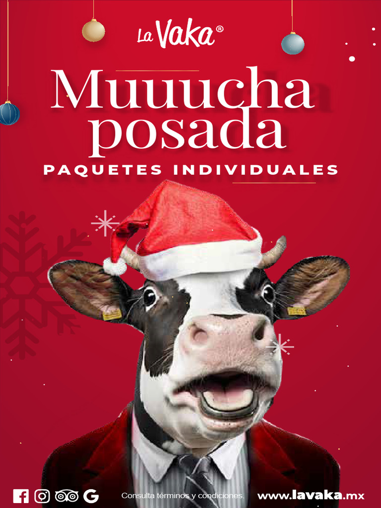 Posadas 2024 La Vaka Satelite | PDF | Ginebra | Bebida