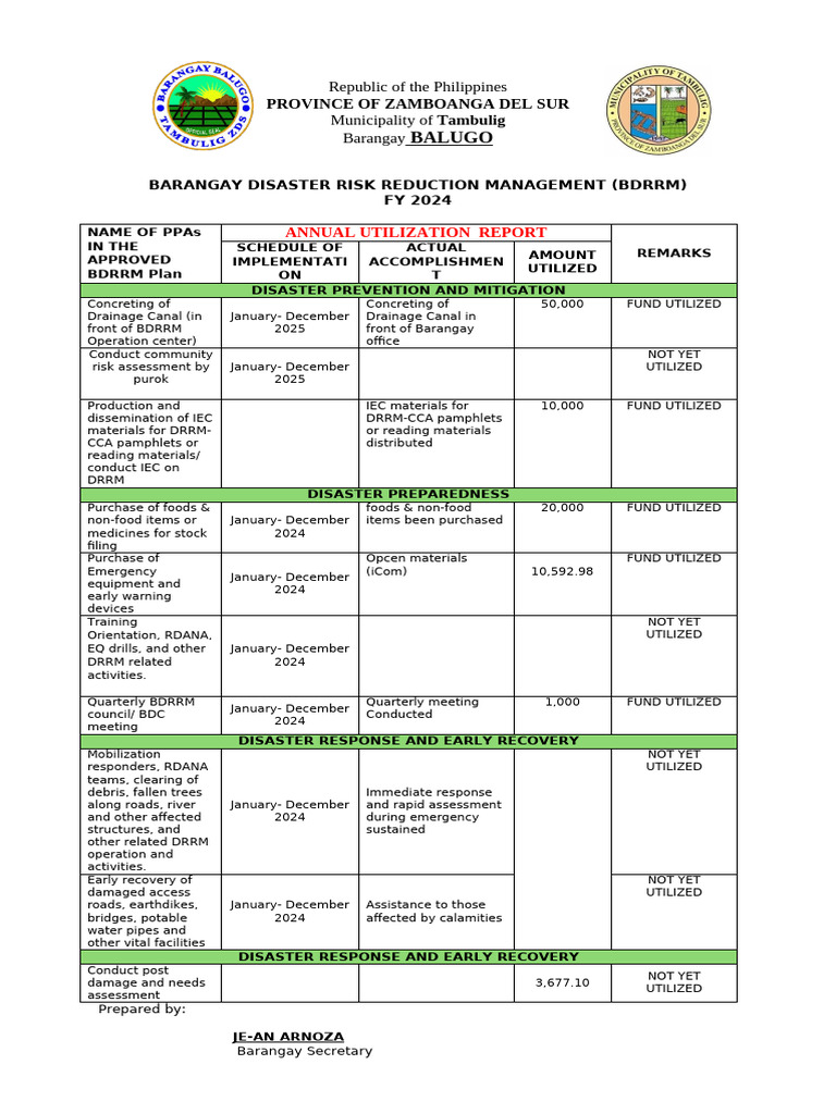 BDRRM Annual Utilization Report 2024 | PDF | Emergency Management | Storms
