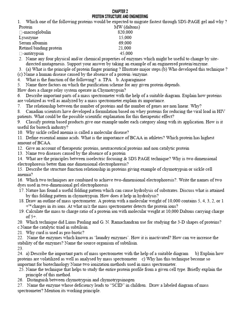 Chapter 2 Assignment - Protein 2025 | PDF | Proteins | Enzyme
