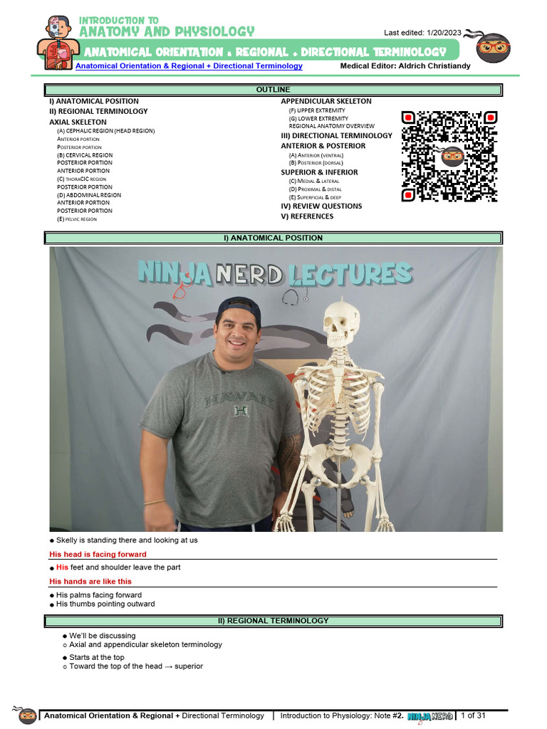 ) Anatomical Orientation - Regional - Directional Terminology (Notes ...