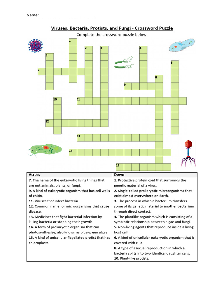 Viruses Bacteria Protists and Fungi Crossword Puzzle Removed | PDF