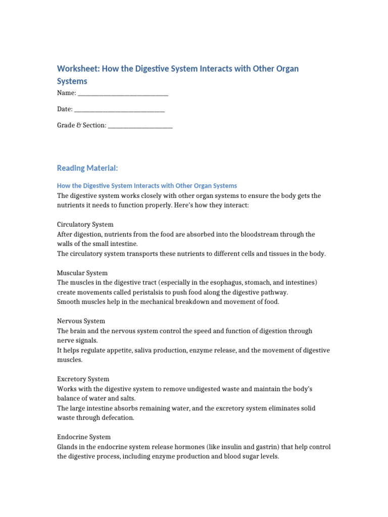 Digestive System's Interactions Explained | PDF | Human Digestive ...