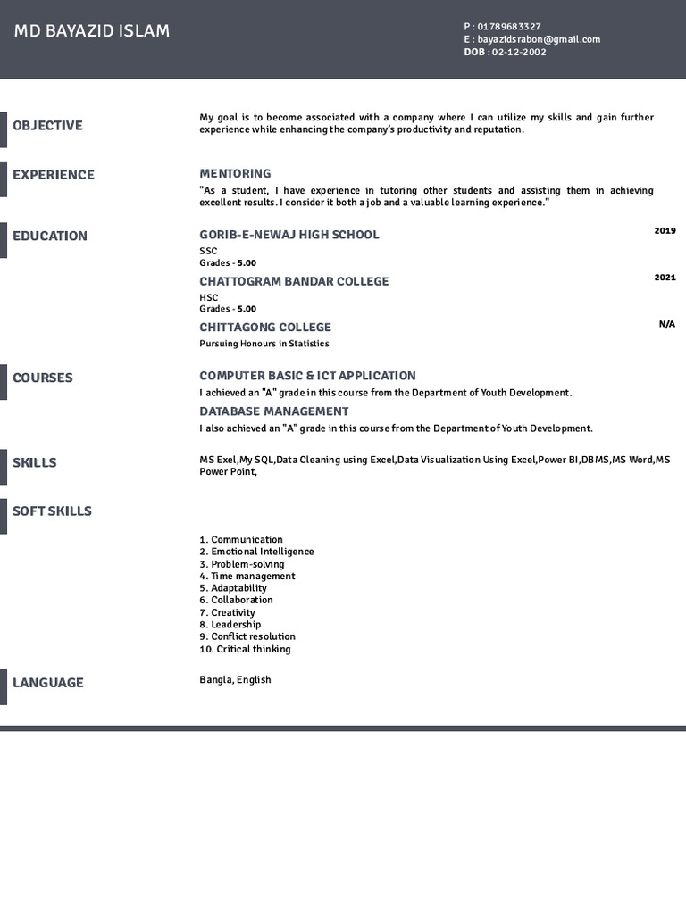 Bayazid's CV 2 | PDF