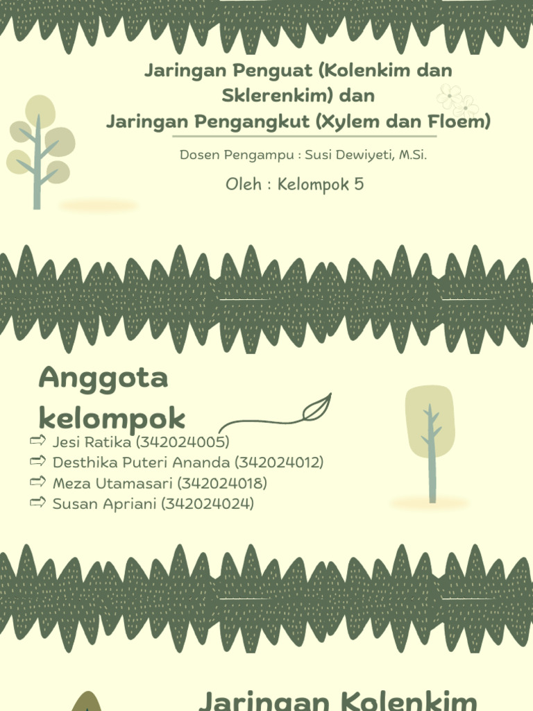 Jaringan Penguat Tumbuhan: Kolenkim & Sklerenkim | PDF