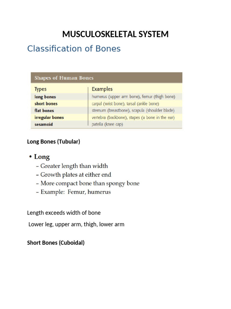 10 Musculoskeletal System | PDF | Arthritis | Joint