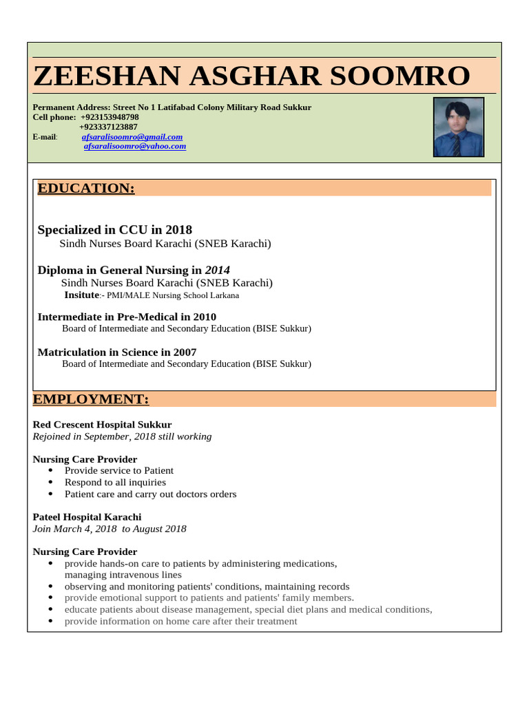 CV Zeeshan | PDF
