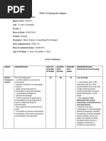 WISC-V Report Sample | PDF | Working Memory | Memory