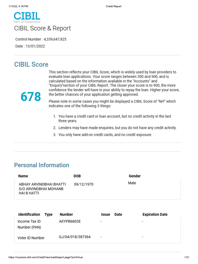 Credit Report | PDF | Finance & Money Management | Credit