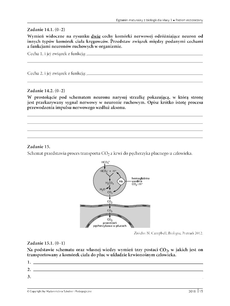 2018 Wsip 13 | PDF