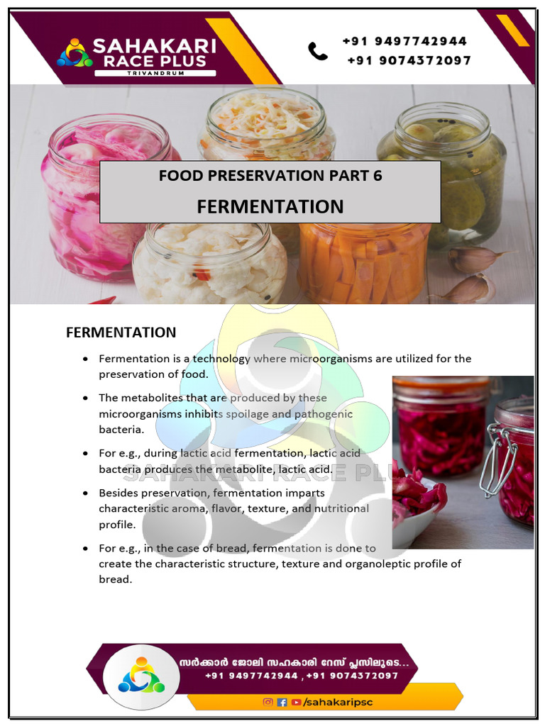 Fermentation Techniques for Food Preservation | PDF | Lactobacillus ...
