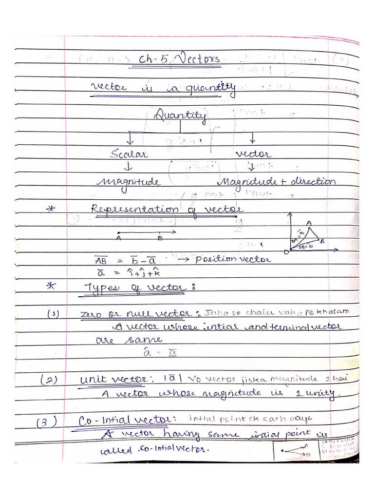 Vector | PDF