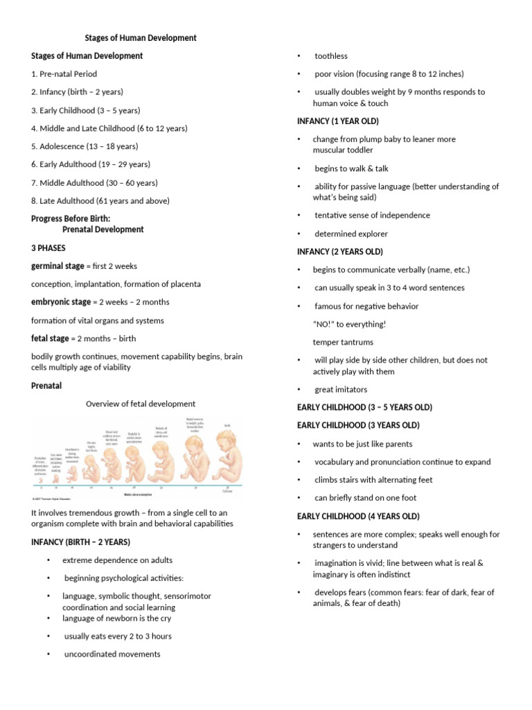 Stages of Human Development | PDF | Developmental Psychology | Adults