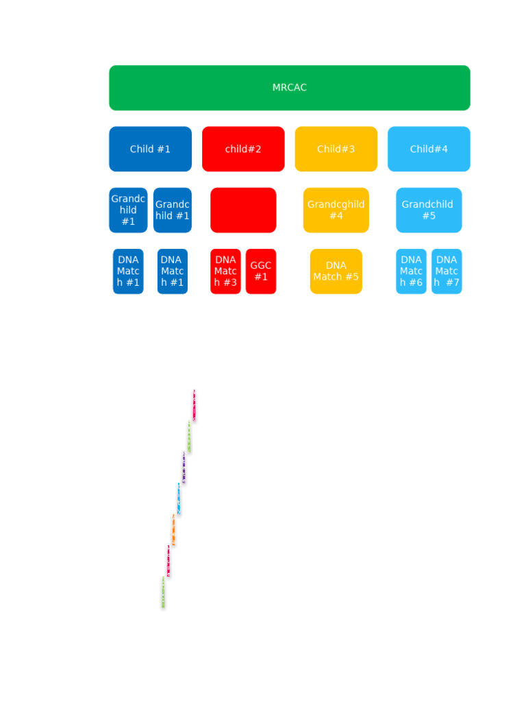 DNA Matches and Family Connections | PDF