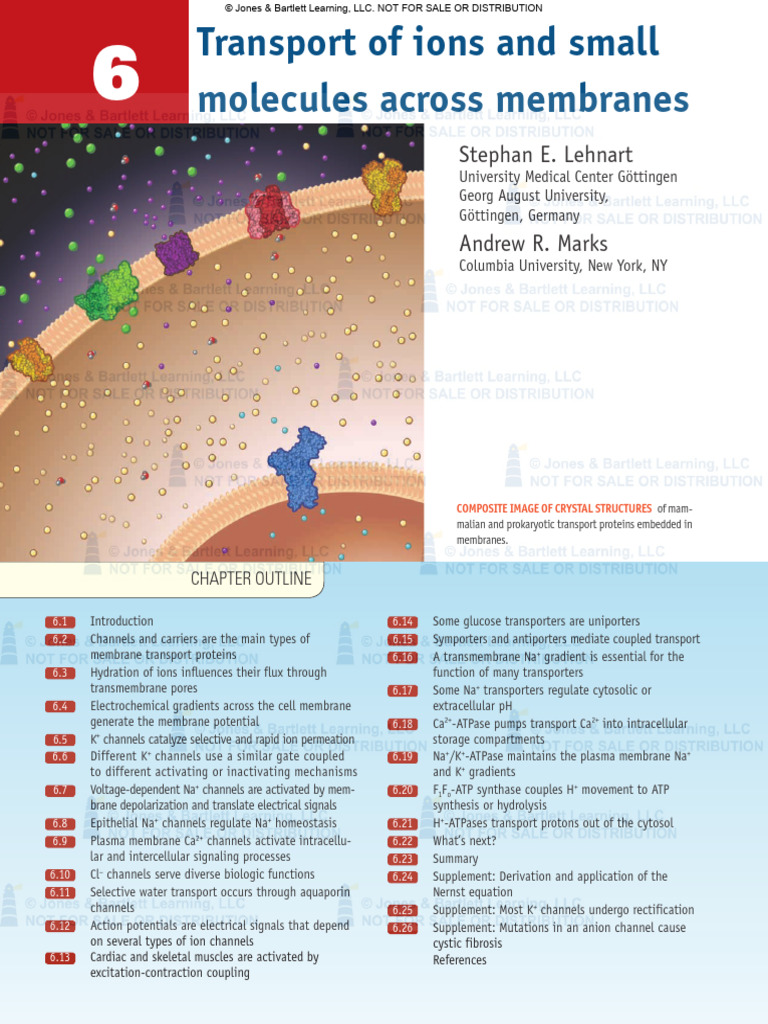 Lewin Cells | PDF | Cell Membrane | Ion Channel