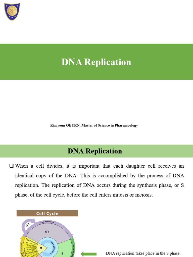 04.DNA Replication Transcription Translation Gene Regulation | PDF ...