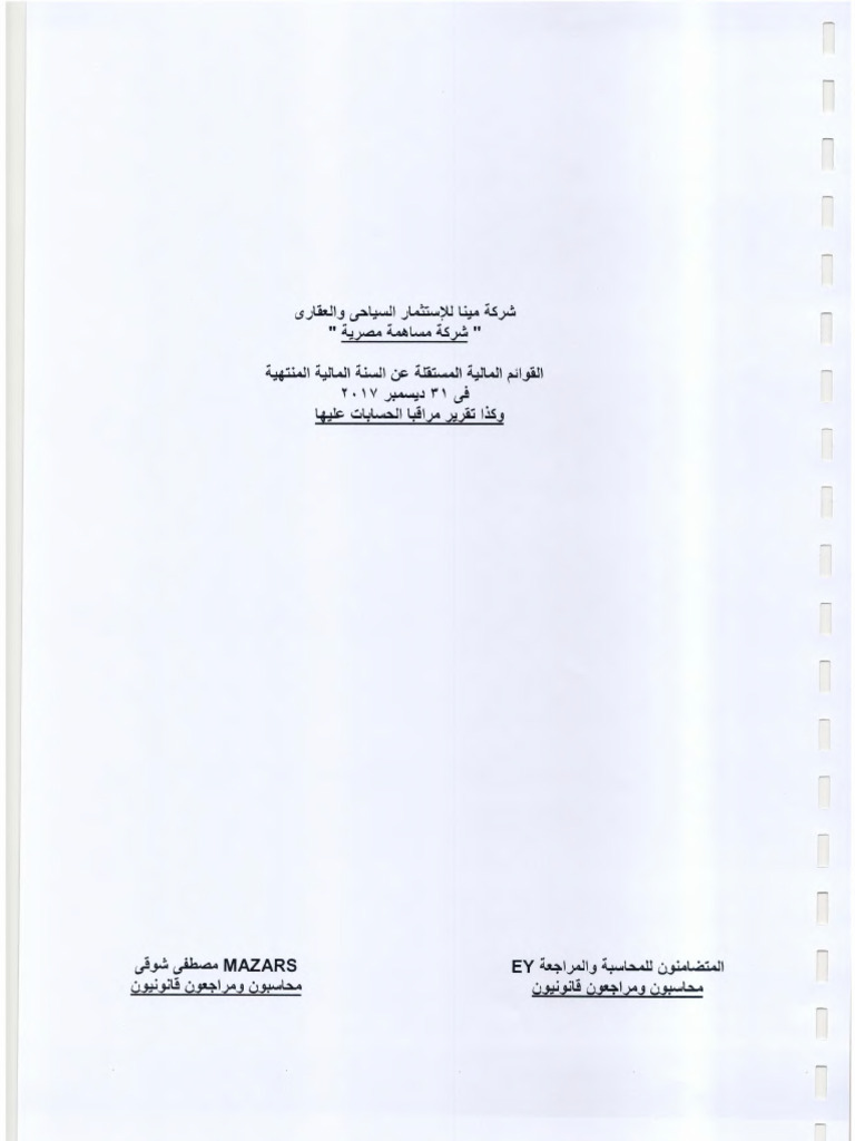 Independent Financial Statement 31-12-2017 | PDF