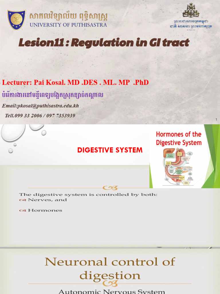 Lesion 11 Regulation in GI Tract | PDF