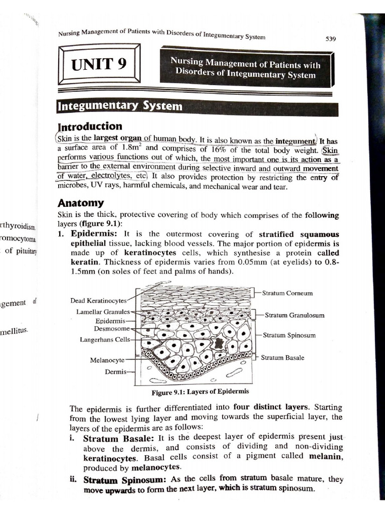 AHN - Mabia Mam | PDF