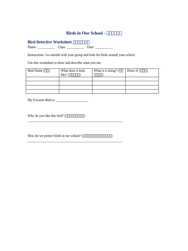 Bird Detective Observation Worksheet | PDF
