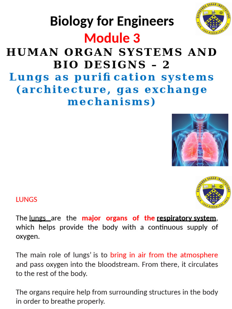 Module 3 Biology Eng 2025 | PDF | Lung | Respiratory Tract