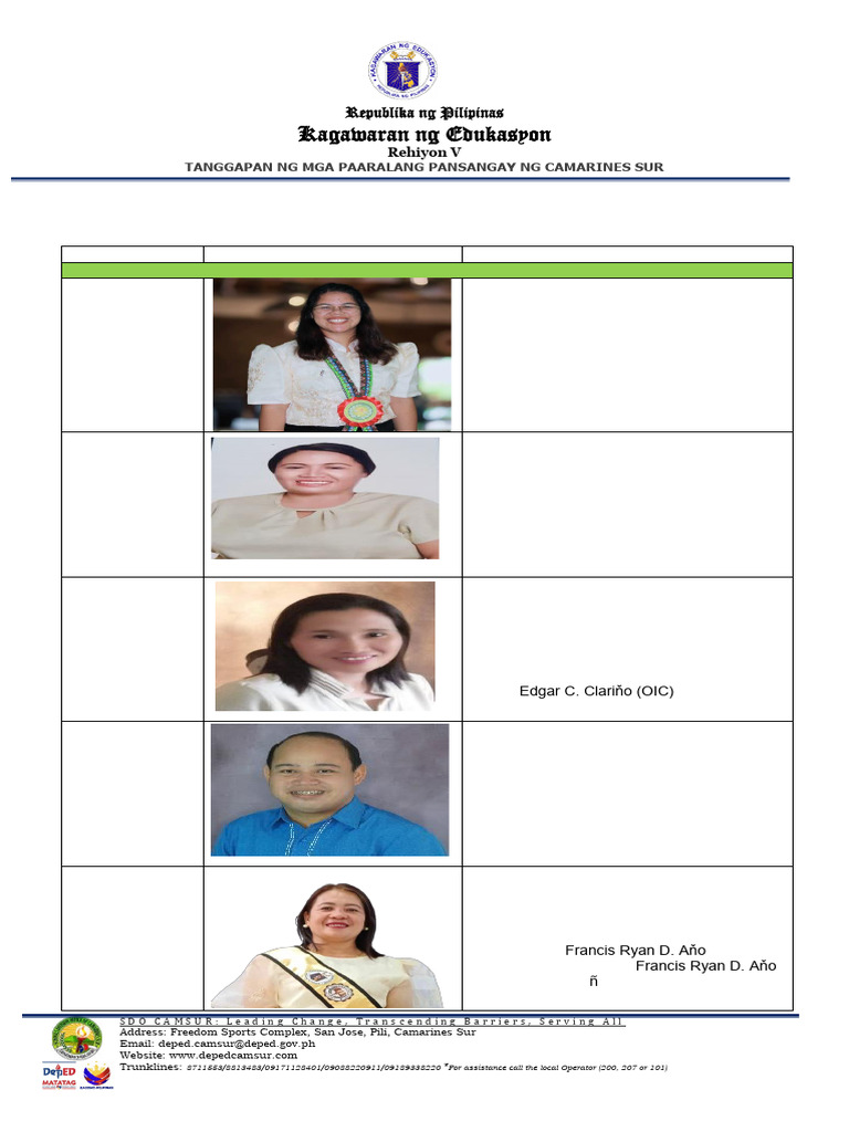 2024 2025 CAMSUR Research and Development District Coordinators ELEMENTARY | PDF