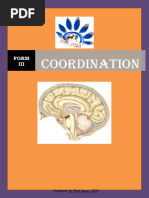 Human Body Coordination Systems | PDF | Synapse | Chemical Synapse