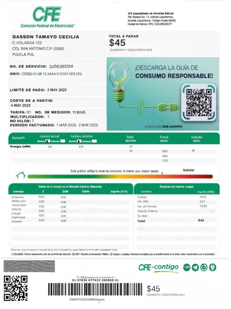 Carné - Editadollhh HGHGH | PDF | Energia electrica | Electricidad