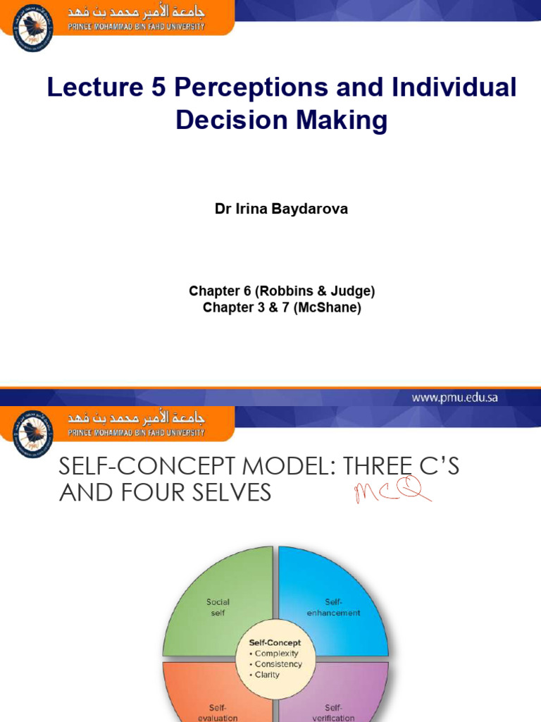 Lecture 5 Perceptions and Individual Decision Making | PDF | Perception ...