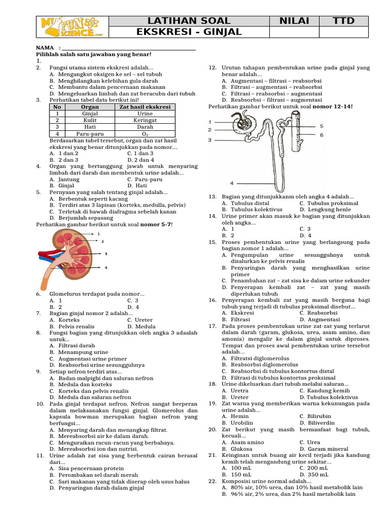 Latihan Ekskresi Ginjal | PDF
