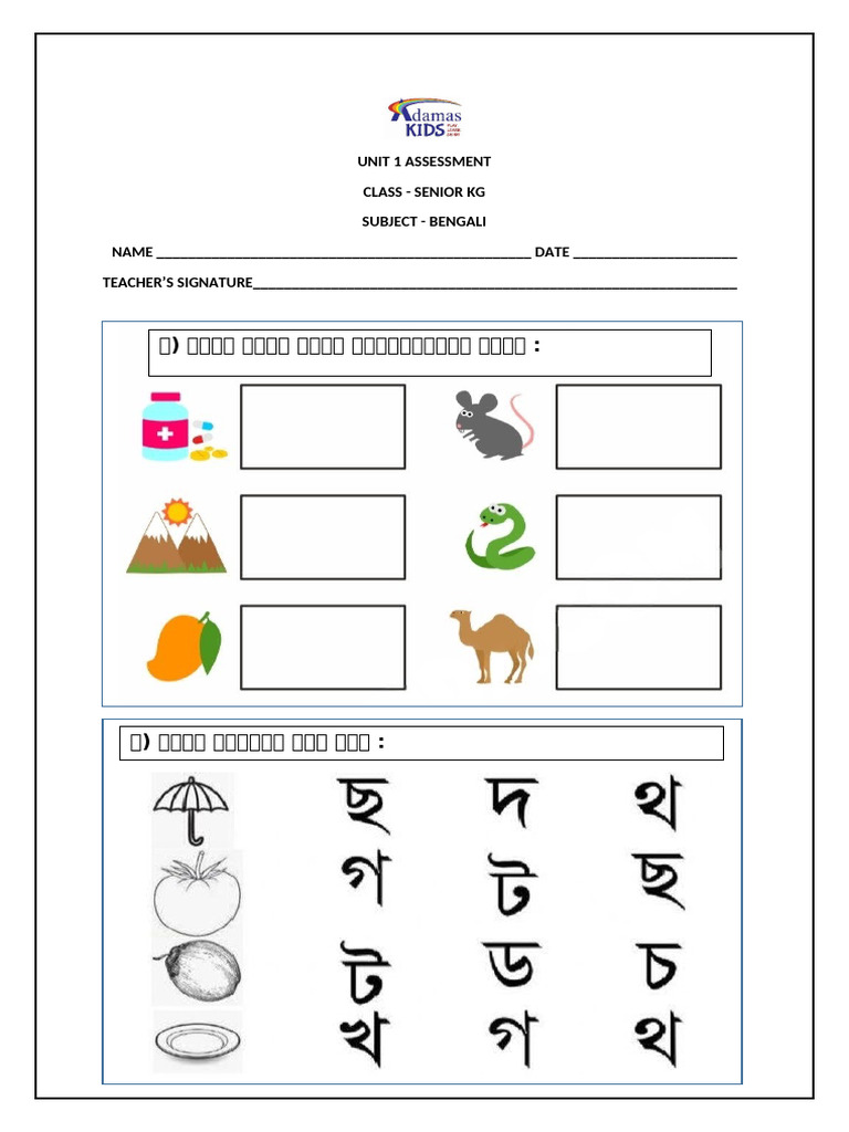 Unit 1 Assessment 2025 SRKG Beng | PDF