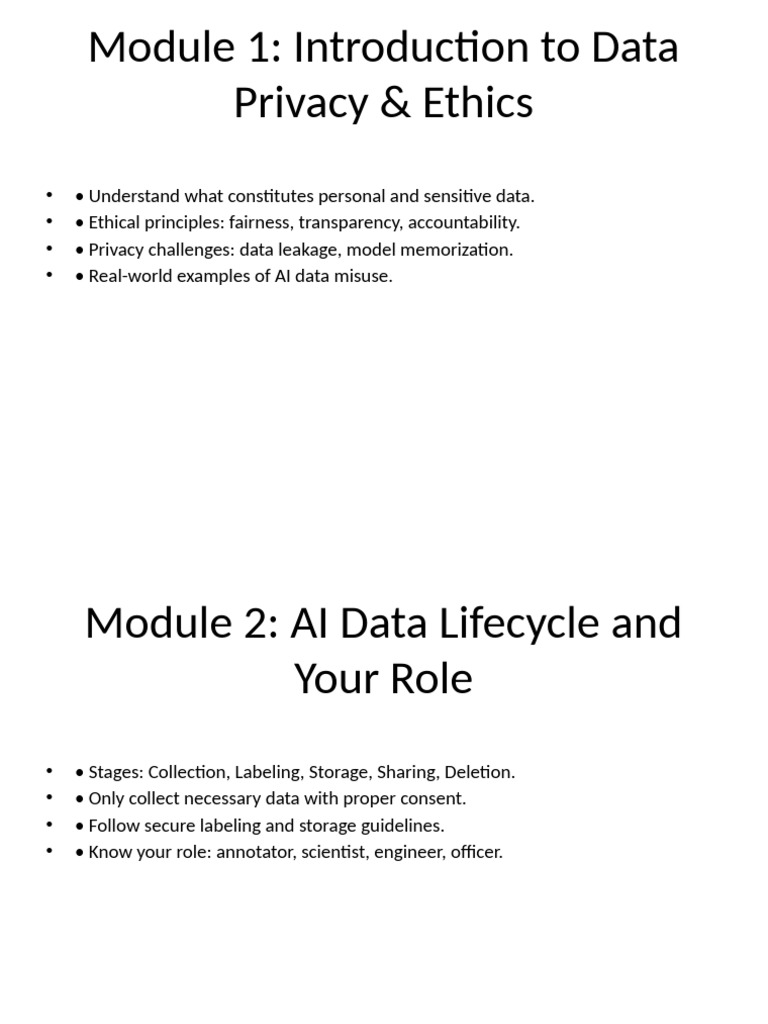 AI Privacy Security Training Presentation | PDF