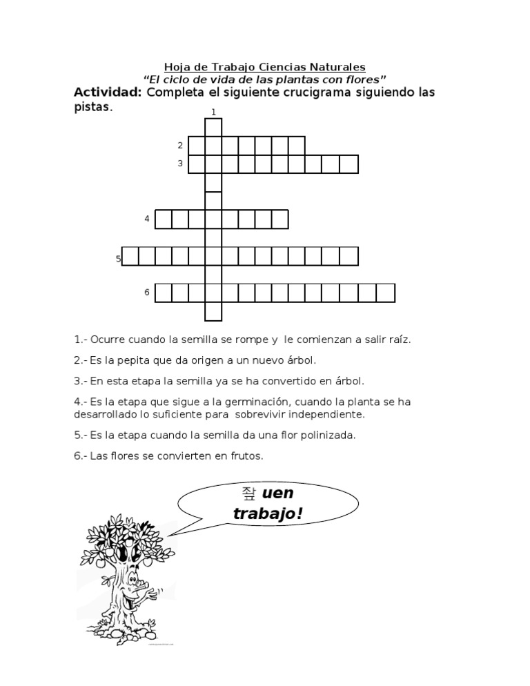 Hoja De Trabajo Sobre El Ciclo De Vida De Una Semilla Tipos De