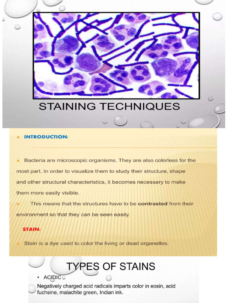 Staining | PDF
