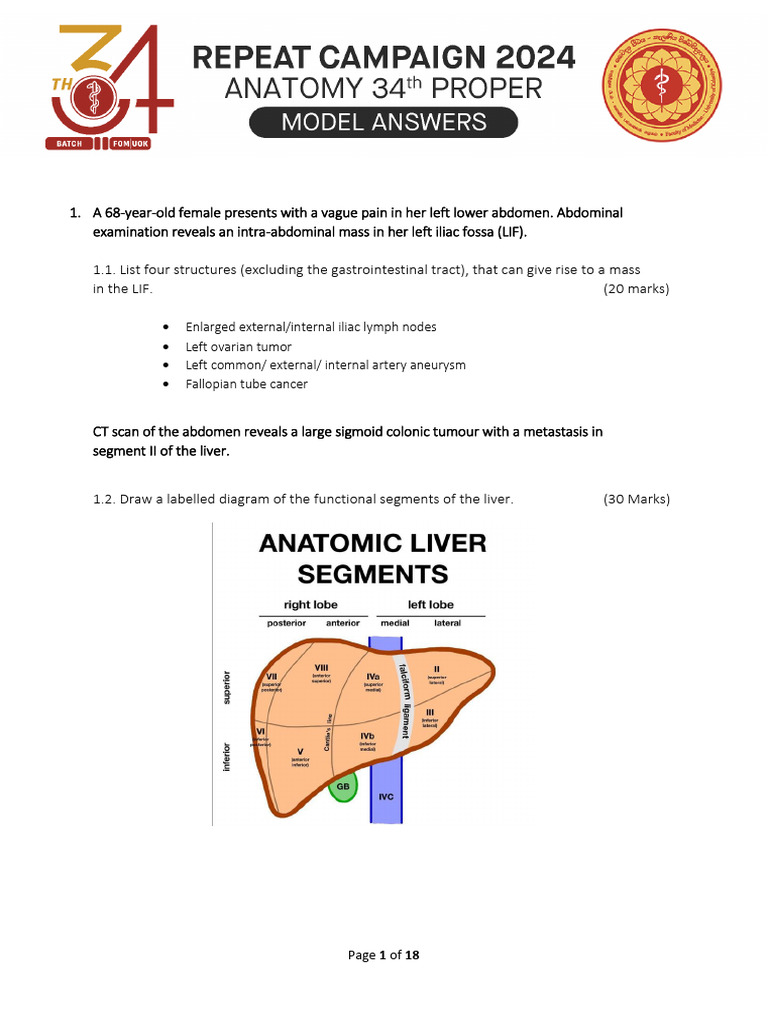 34th Batch Proper Anatomy Paper Model Answers | PDF | Thyroid | Common Carotid Artery