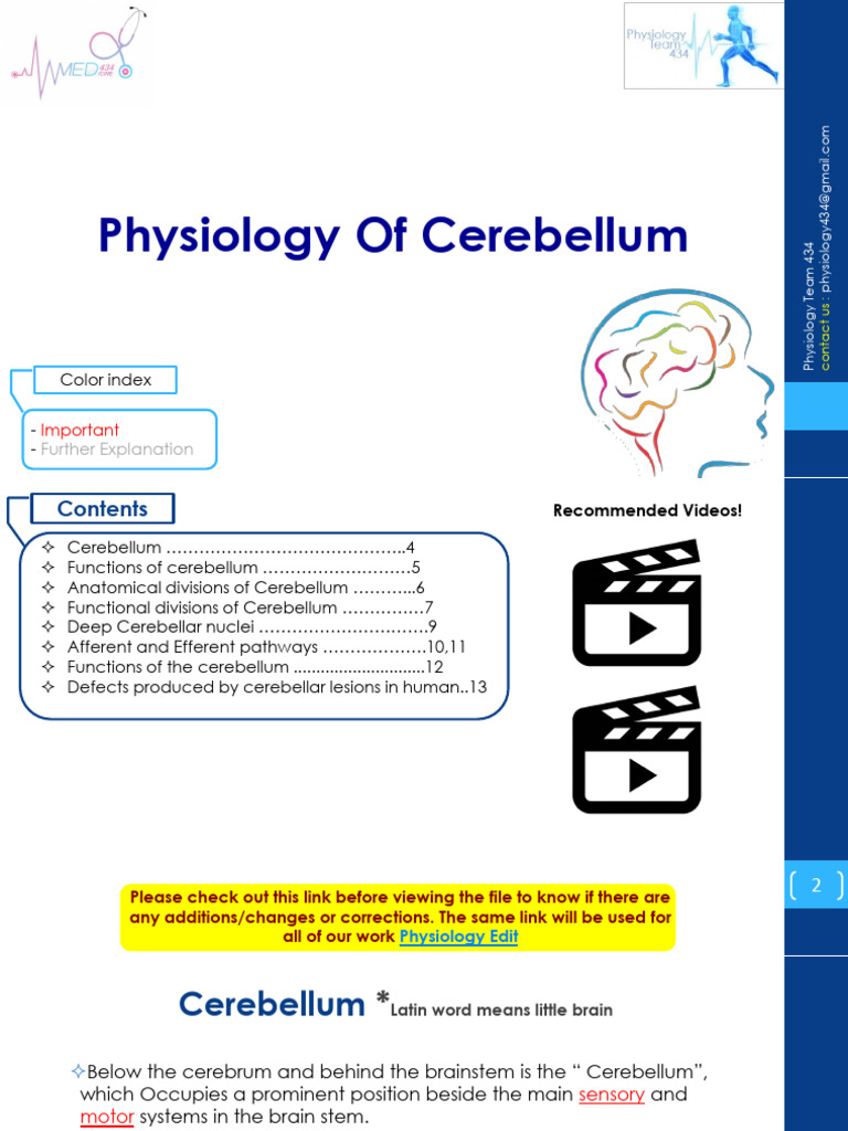 Cerebellum: Structure and Functions | PDF | Cerebellum | Anatomy