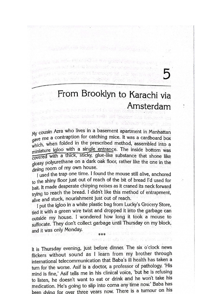 From Brooklyn To Karachi Via Amsterdam (From The Essential Reader) | PDF